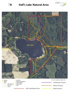 Hall’s Lake Natural Area – Chippewa Watershed Conservancy